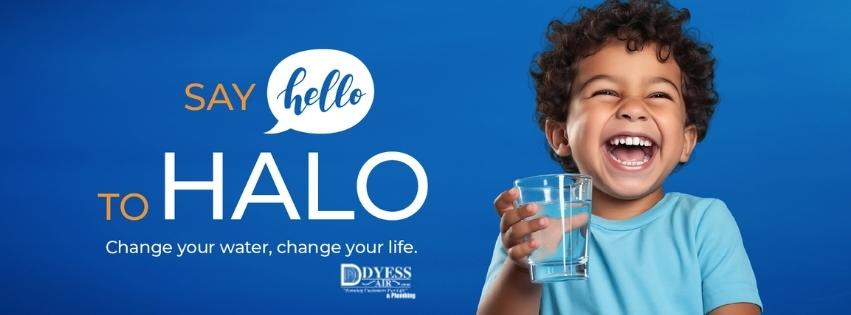 Best HALO Water Filtration & Conditioning Solutions for Southeast ...